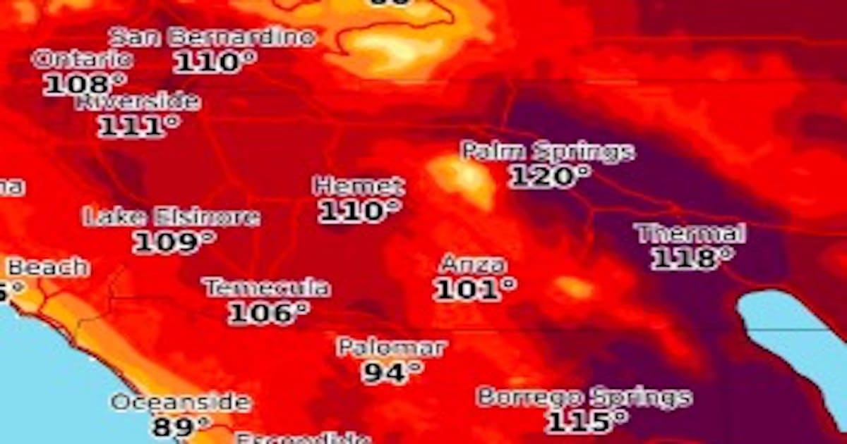 Welcome to hell, Palm Springs - Cactus Hugs
